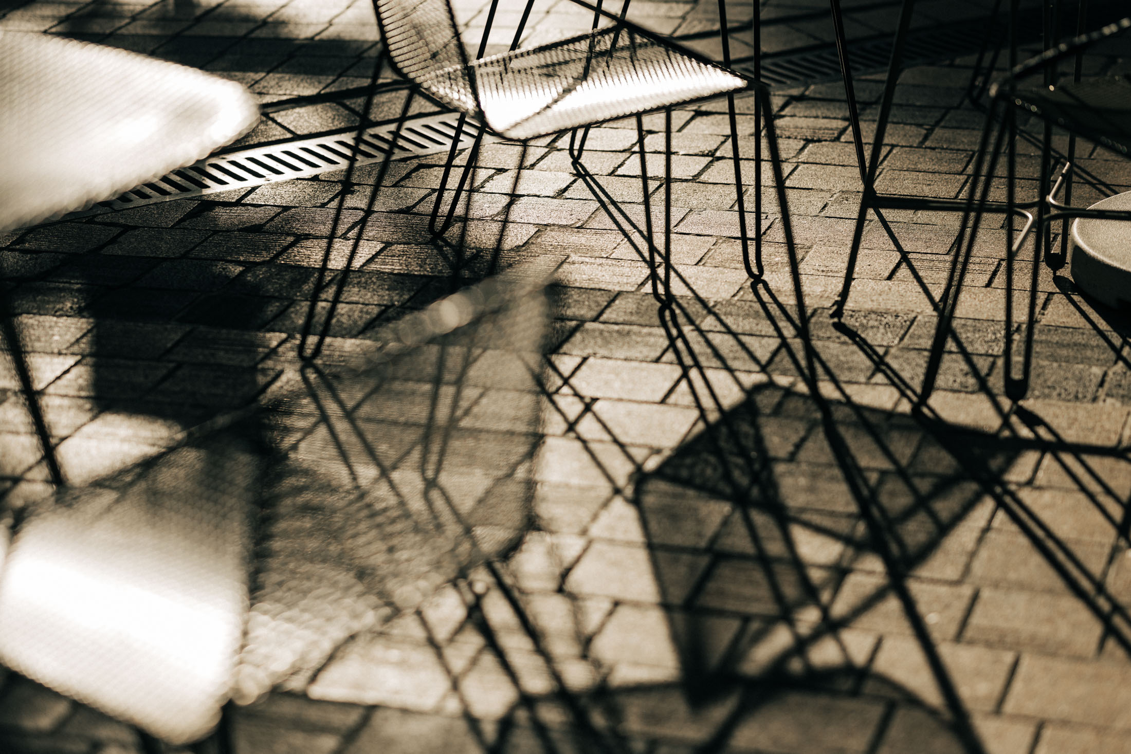 Adam Gibson — Photographer — Tasmanian architectural and lifestyle ...