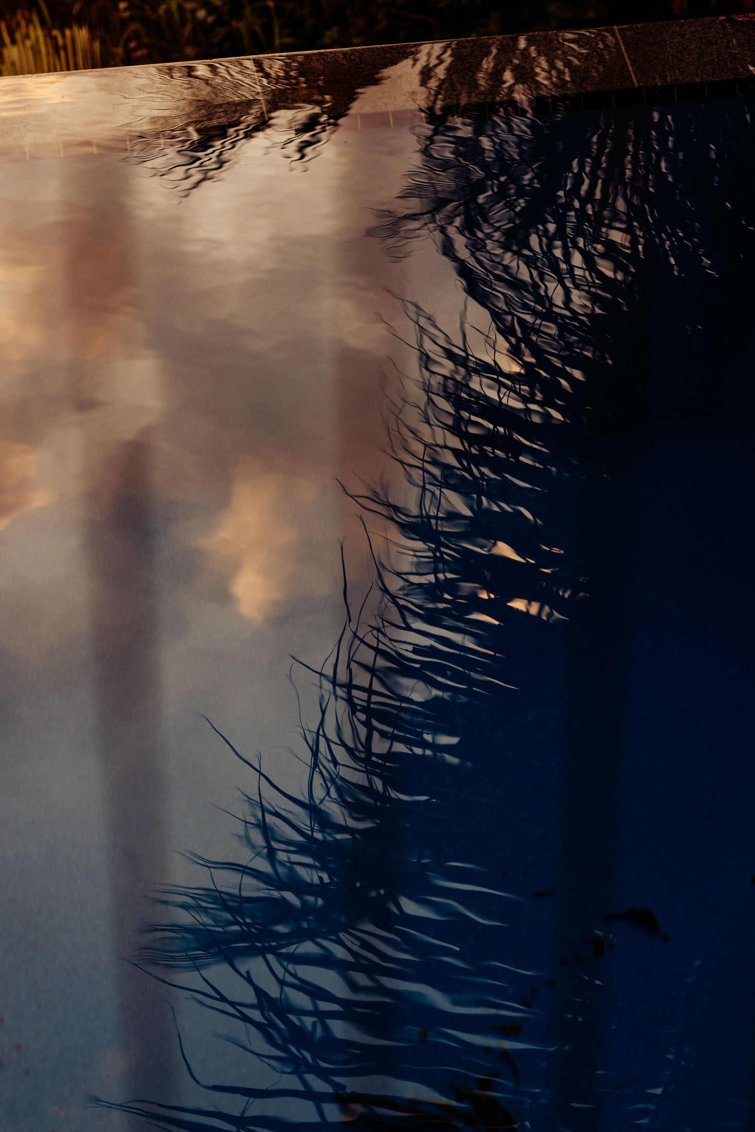 Adam Gibson — Photographer — Tasmanian architectural and lifestyle ...