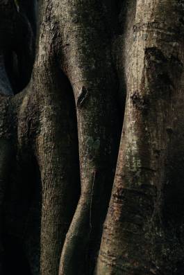 Adam Gibson — Photographer — Tasmanian architectural and lifestyle ...