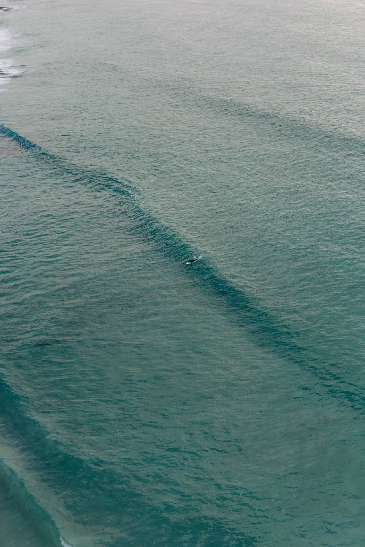 Adam Gibson — Photographer — Tasmanian architectural and lifestyle ...